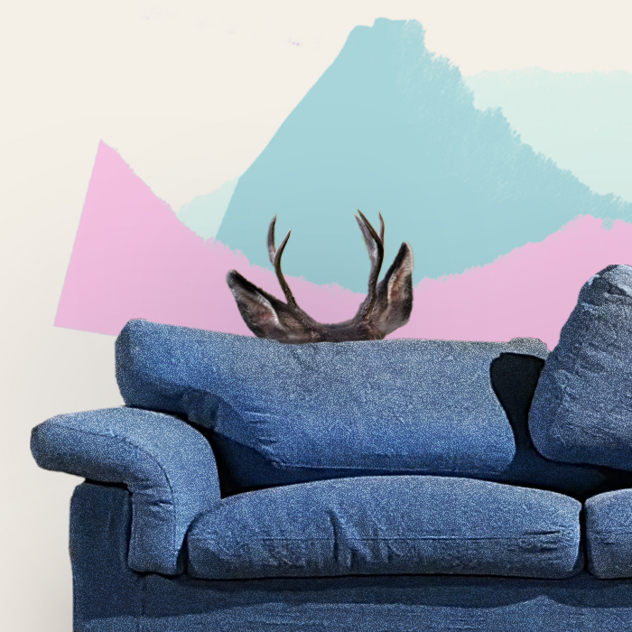 Announcing Faun's cast, creative team and tour dates - Cardboard Citizens